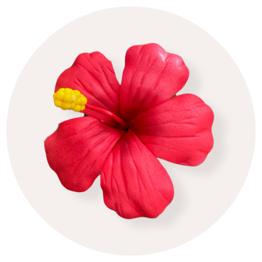 MAMANU | Handmade Sei Aute (hibiscus) 9-10cm, Wholesale available ...